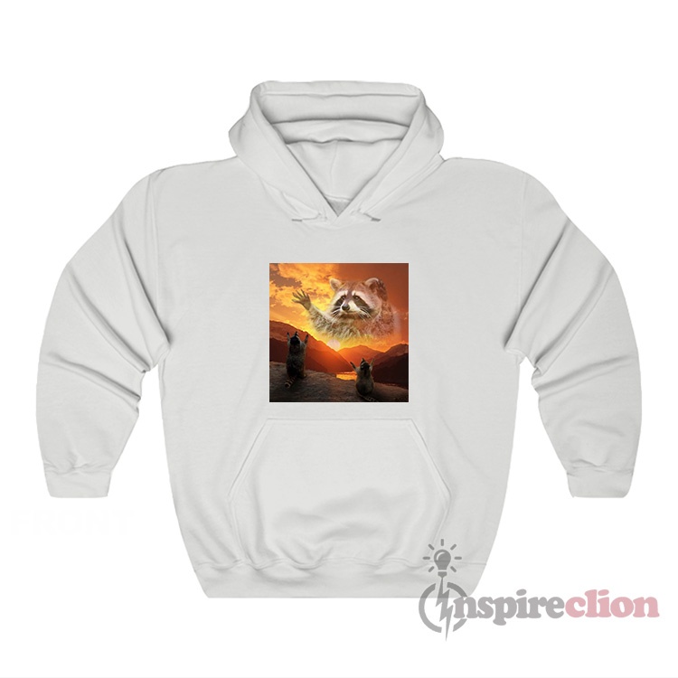 Praise The Lord Raccoon Funny Meme Hoodie - Inspireclion.com