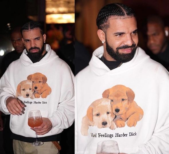 Drake Hard Feelings Harder Dick Hoodie - Inspireclion.com