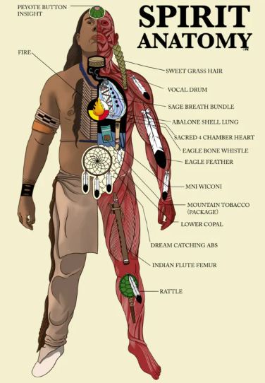 Reservation Dogs Spirit Anatomy T-Shirt - Inspireclion.com