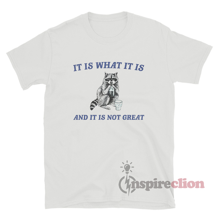 It Is What It Is And It Is Not Great Raccoon Meme T-Shirt